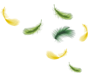 Rode brulaap - Vogelpark Avifauna