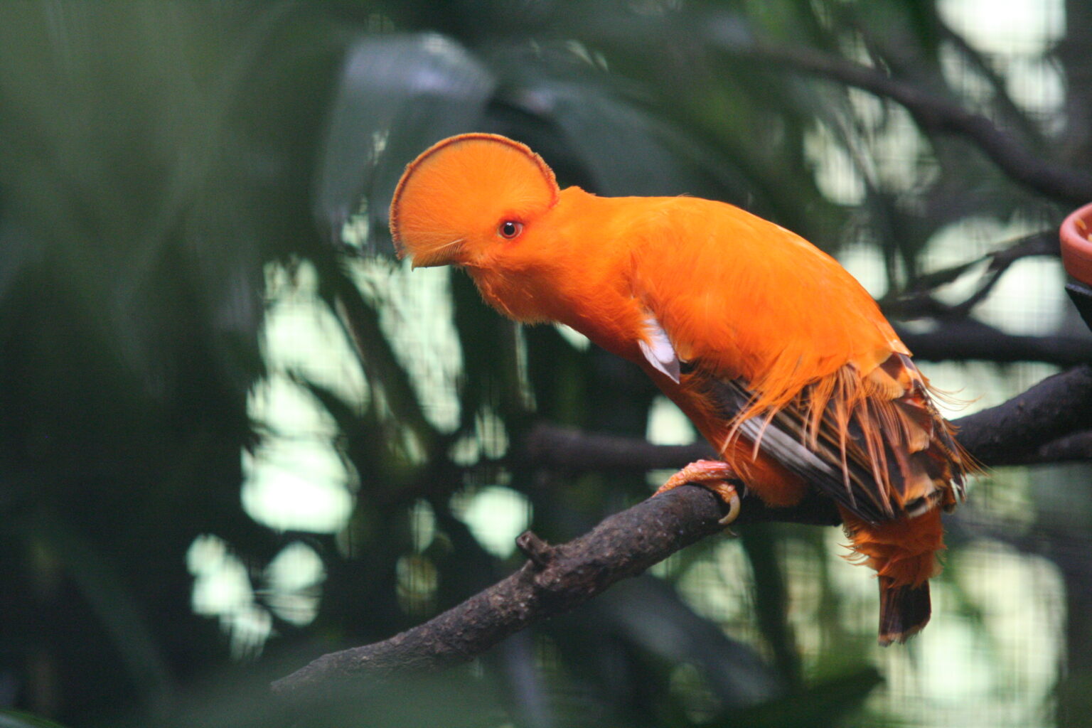 Avifauna doet meer - Vogelpark Avifauna