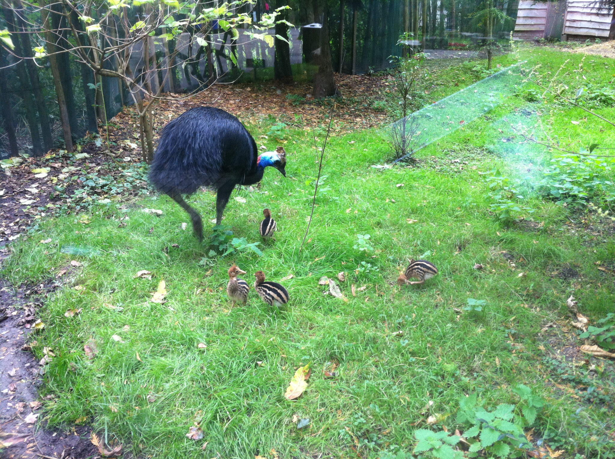 Avifauna doet meer - Vogelpark Avifauna