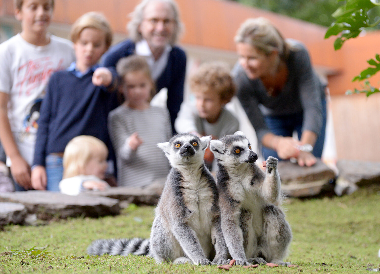 Plattegrond - Vogelpark Avifauna