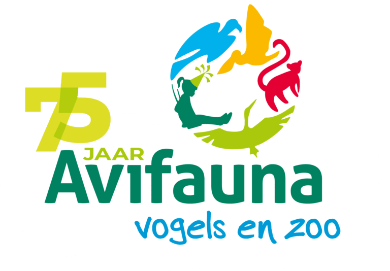 Helmkasuaris - Vogelpark Avifauna
